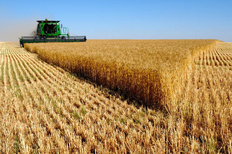 Investing In Morocco, Moroccan Agricultural Land Opens Up To Foreign ...